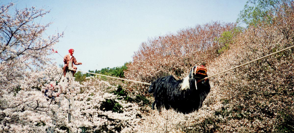 Tightrope Lion Dance - Kansai Finder : Kansai Finder