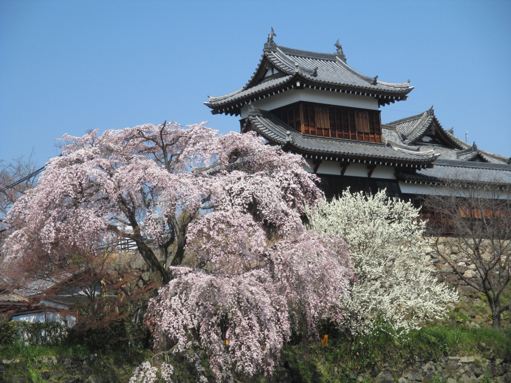 Koriyama Castle Festival - Kansai Finder : Kansai Finder